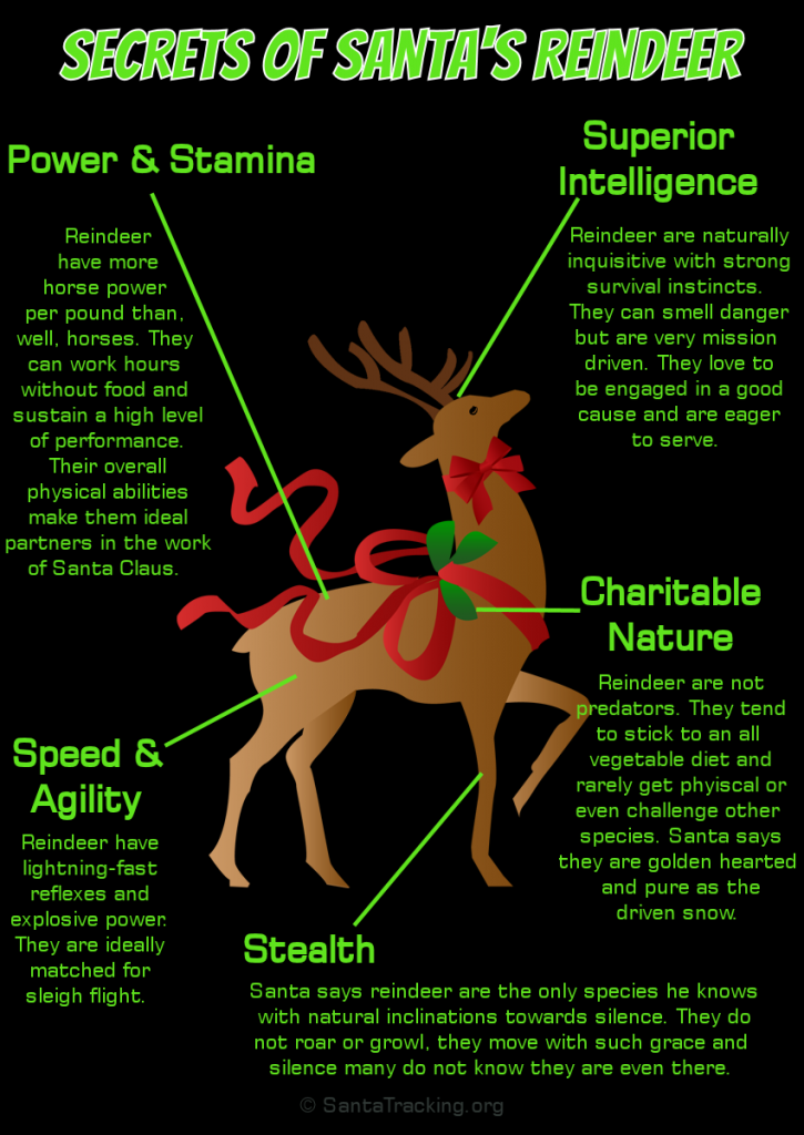 Reindeer - North Pole Flight Command